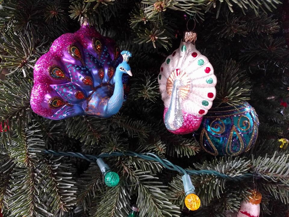 After Christmas | Raucous Eucalyptus, Piteous Poodles